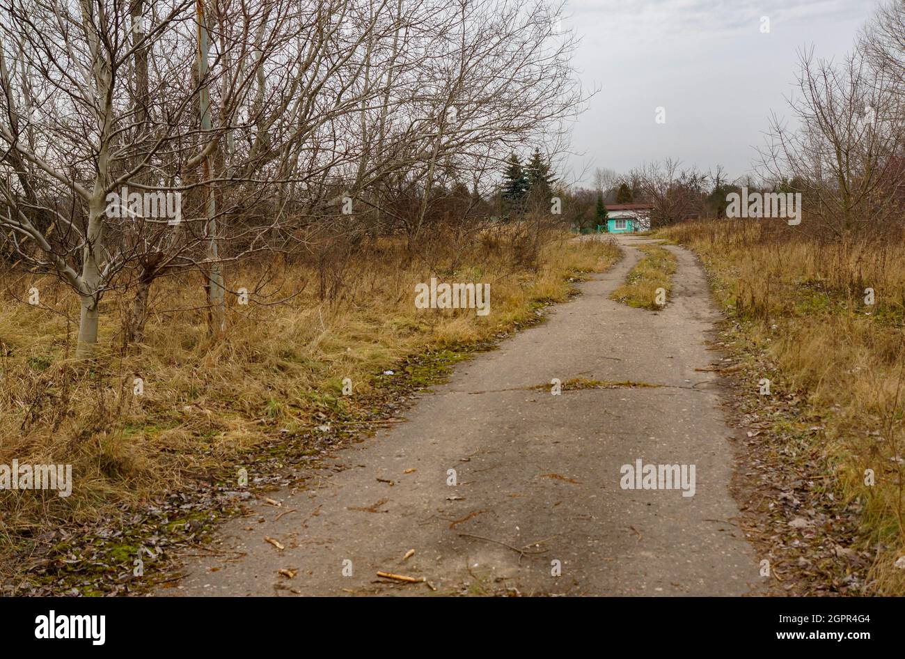 Beautiful view of a long pathway surrounded by greens and trees Stock ...