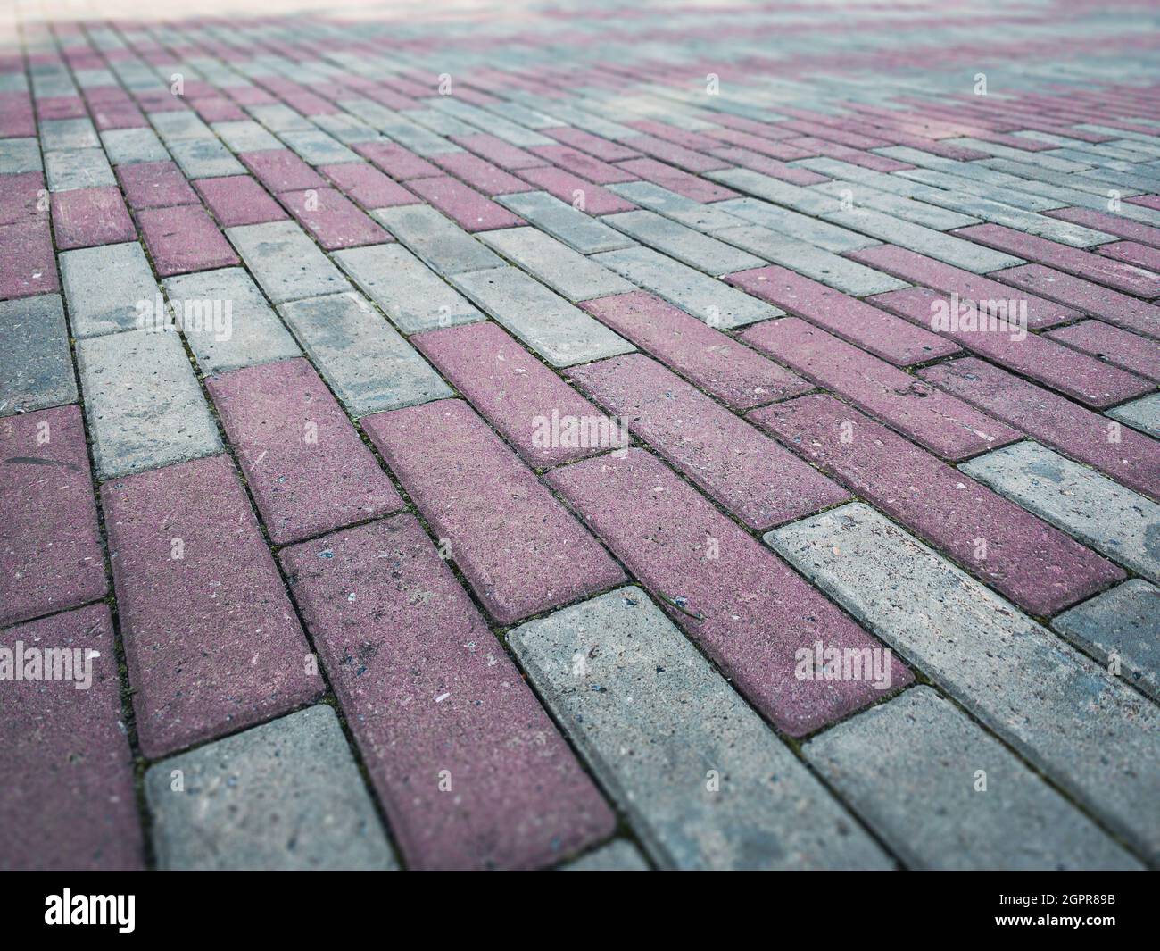 Texture of paving slabs: a footpath lined with bricks of paving slabs ...