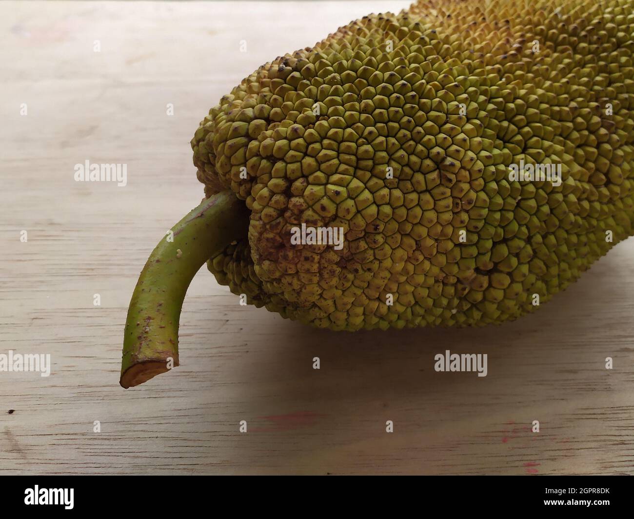 Cempadak Or Jack Fruit Which Is A Tropical Fruit Found In Malaysia ...