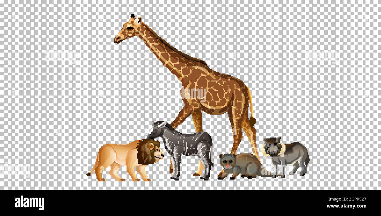 Group of wild african animal on transparent background Stock Vector ...