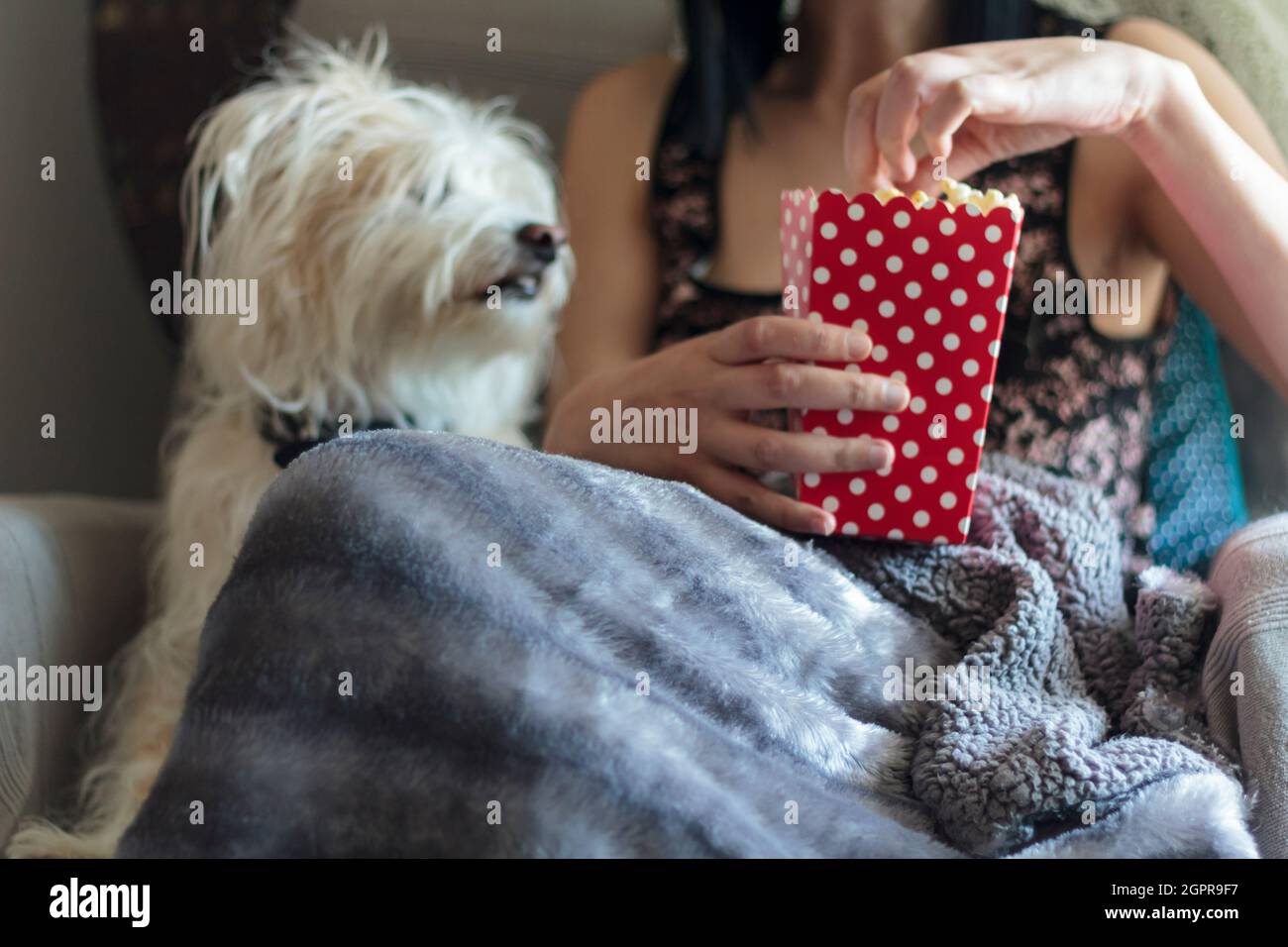 Maltese Ethnicity High Resolution Stock Photography and Images - Alamy