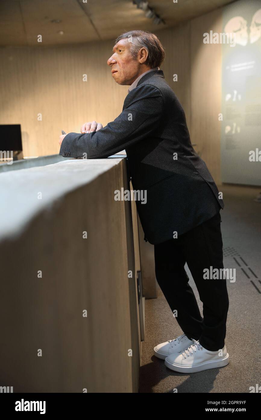 Neanderthal museum suit hi-res stock photography and images - Alamy