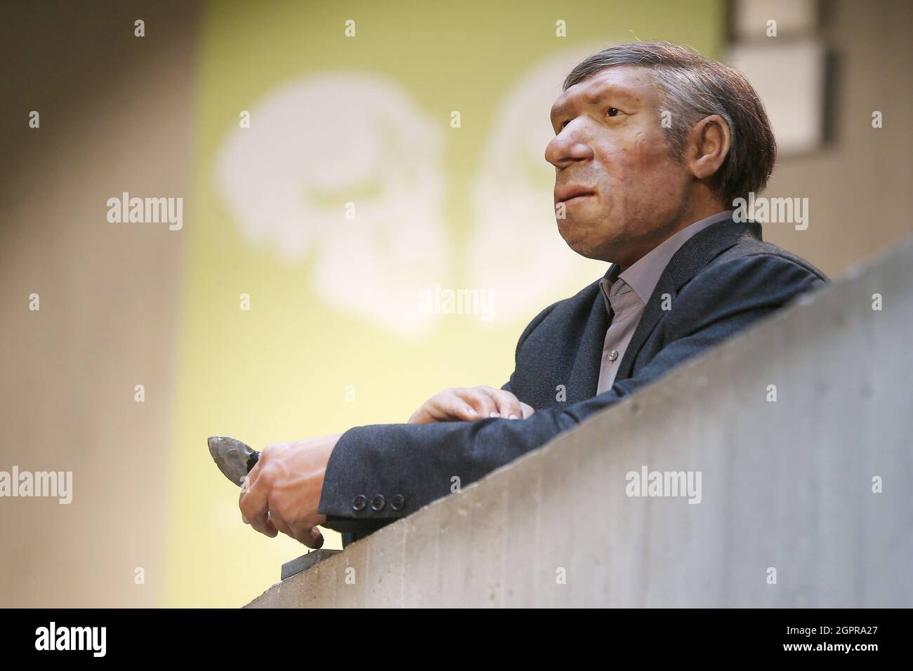 Neanderthal museum suit hi-res stock photography and images - Alamy