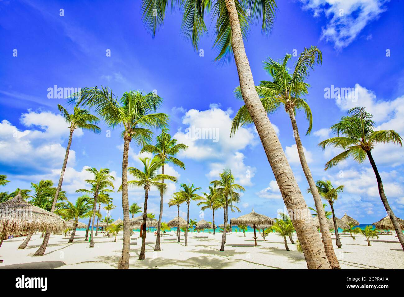 Idyllic sandy beach palm trees hi-res stock photography and images - Alamy