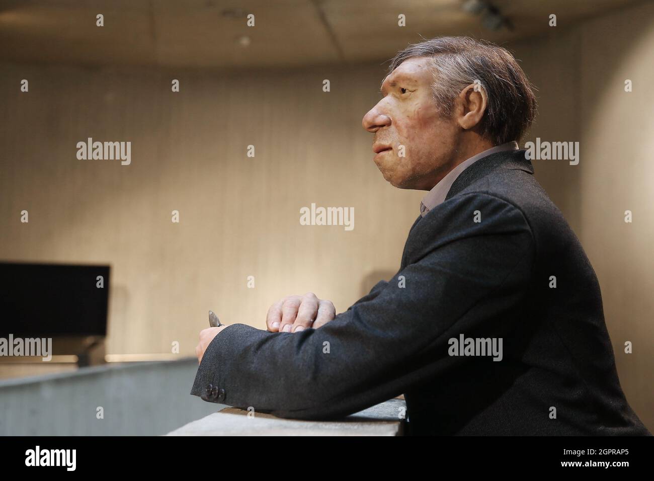 Neanderthal museum suit hi-res stock photography and images - Alamy