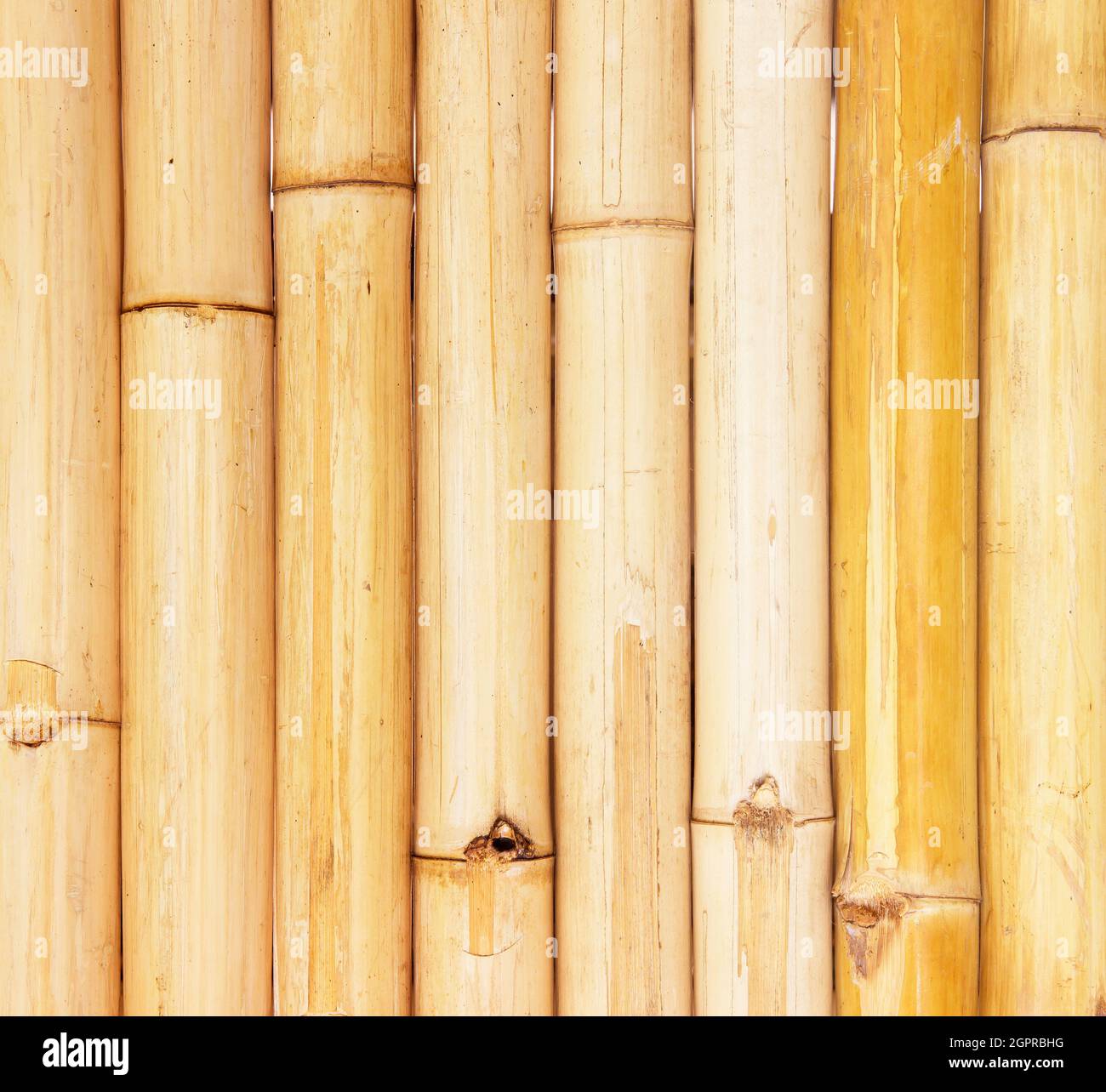 Timber Bamboo Fence High Resolution Stock Photography and Images - Alamy