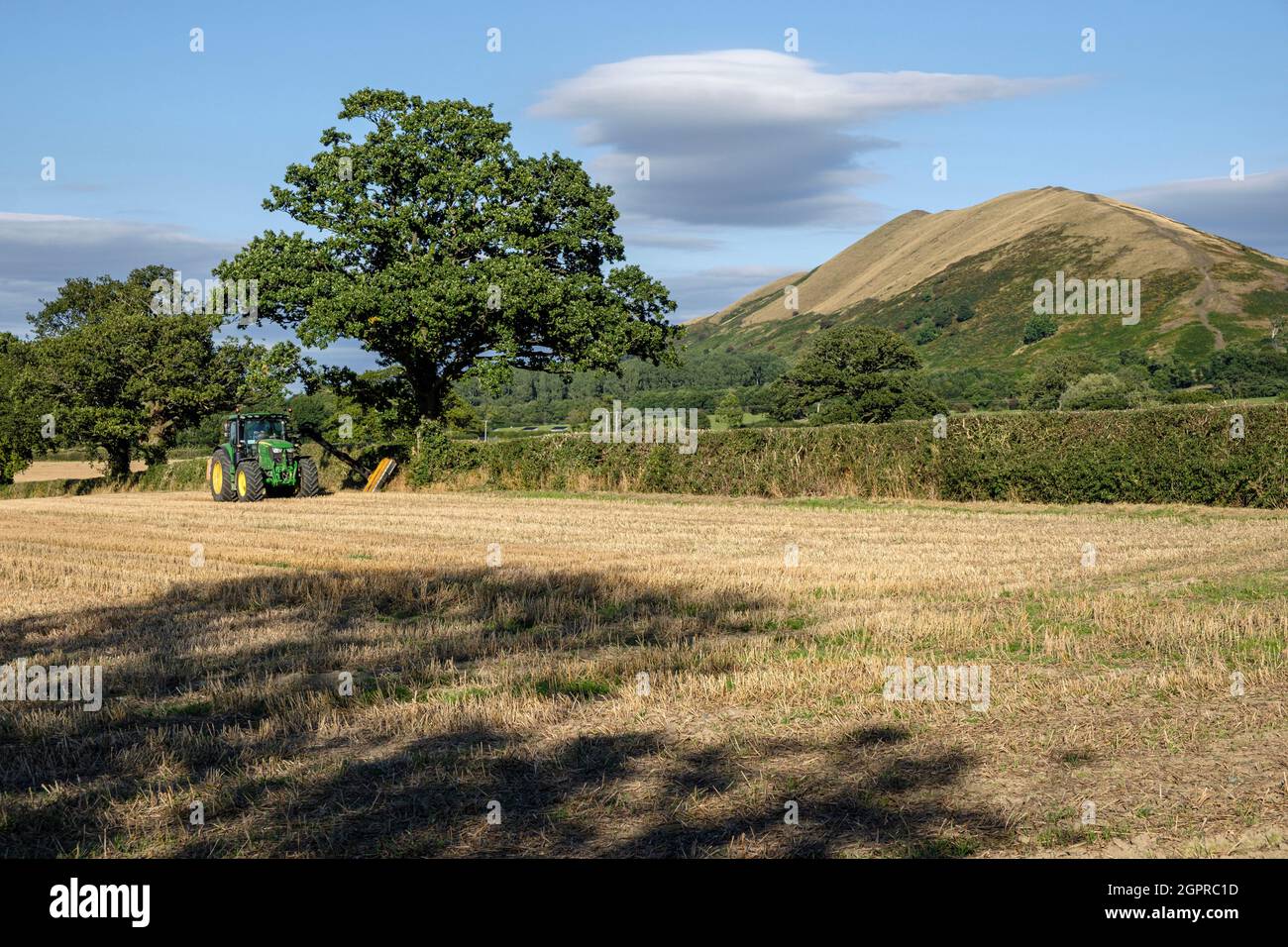 Hedge cutting farm hi-res stock photography and images - Alamy