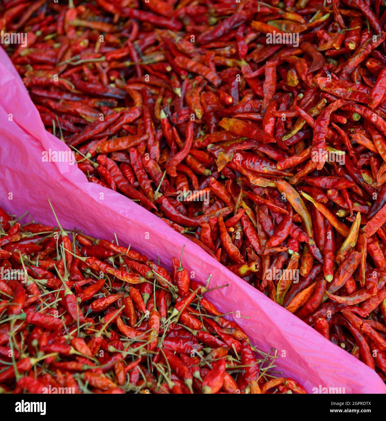 Selling dried chili at rural market of Taunggyi, Myanmar. Taunggyi is ...