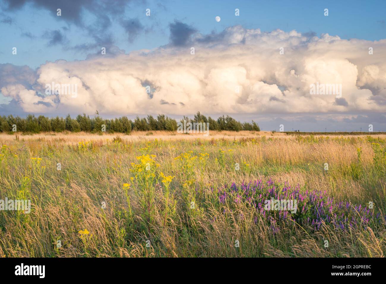 Cumulus clouds over prairie hi-res stock photography and images - Alamy