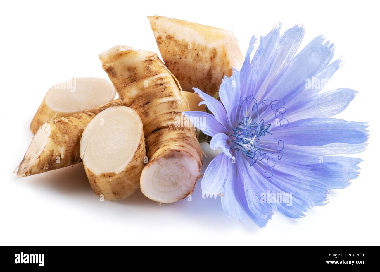 Chicory flowers and roots close up on the white background Stock Photo ...