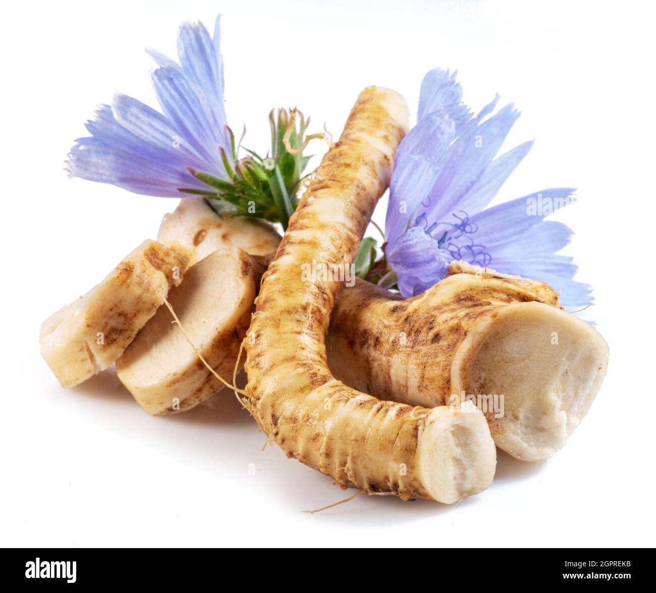 Chicory flowers and roots close up on the white background Stock Photo ...