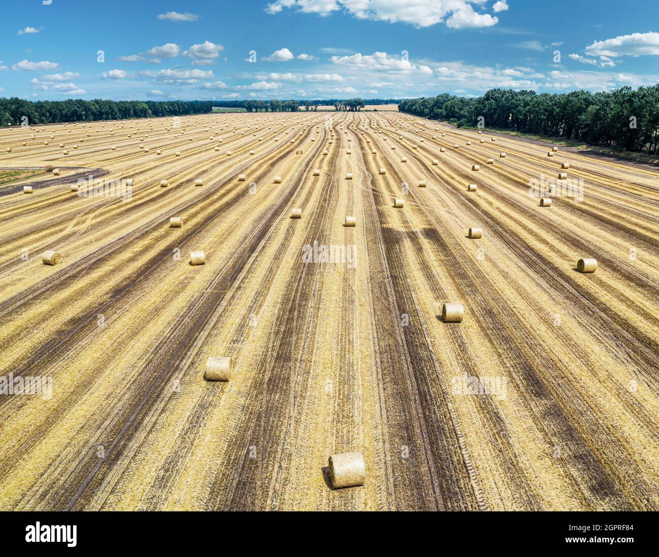 Aerial view of harvested wheat field and blue sky at the background ...