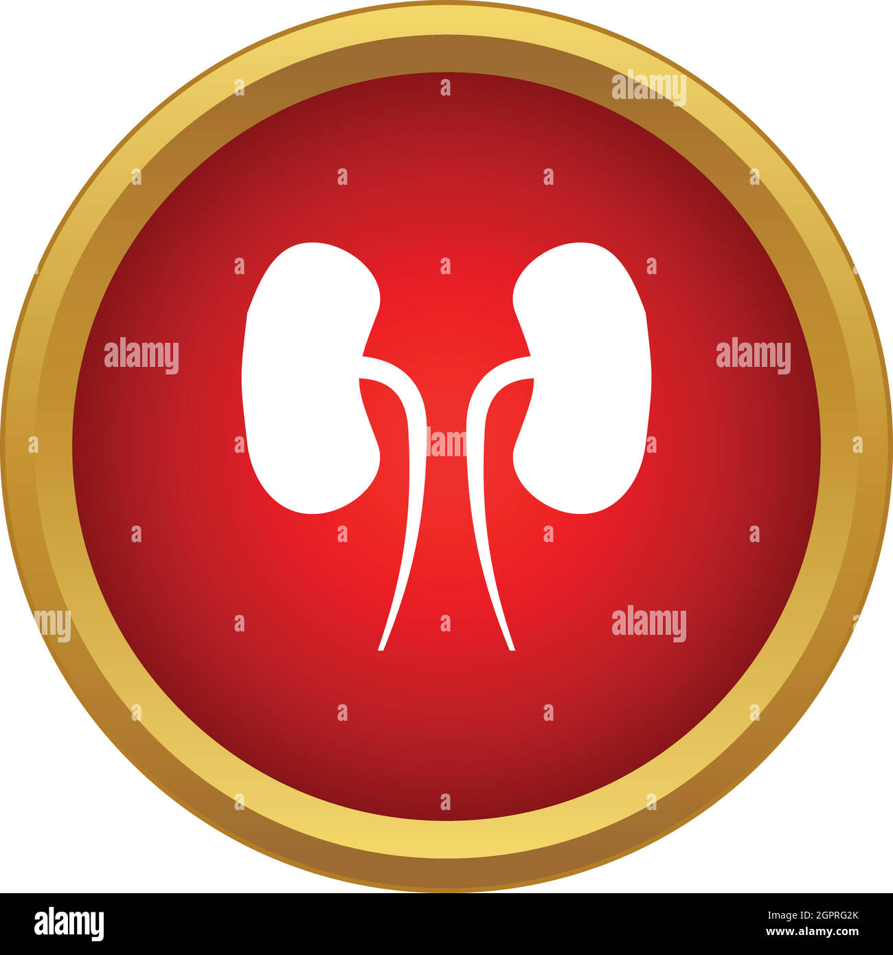 Human kidneys icon, simple style Stock Vector Image & Art - Alamy