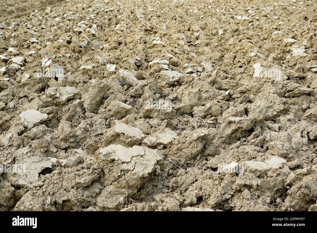 Rough and dry soil texture of the lands in Tuscany, Italy Stock Photo ...