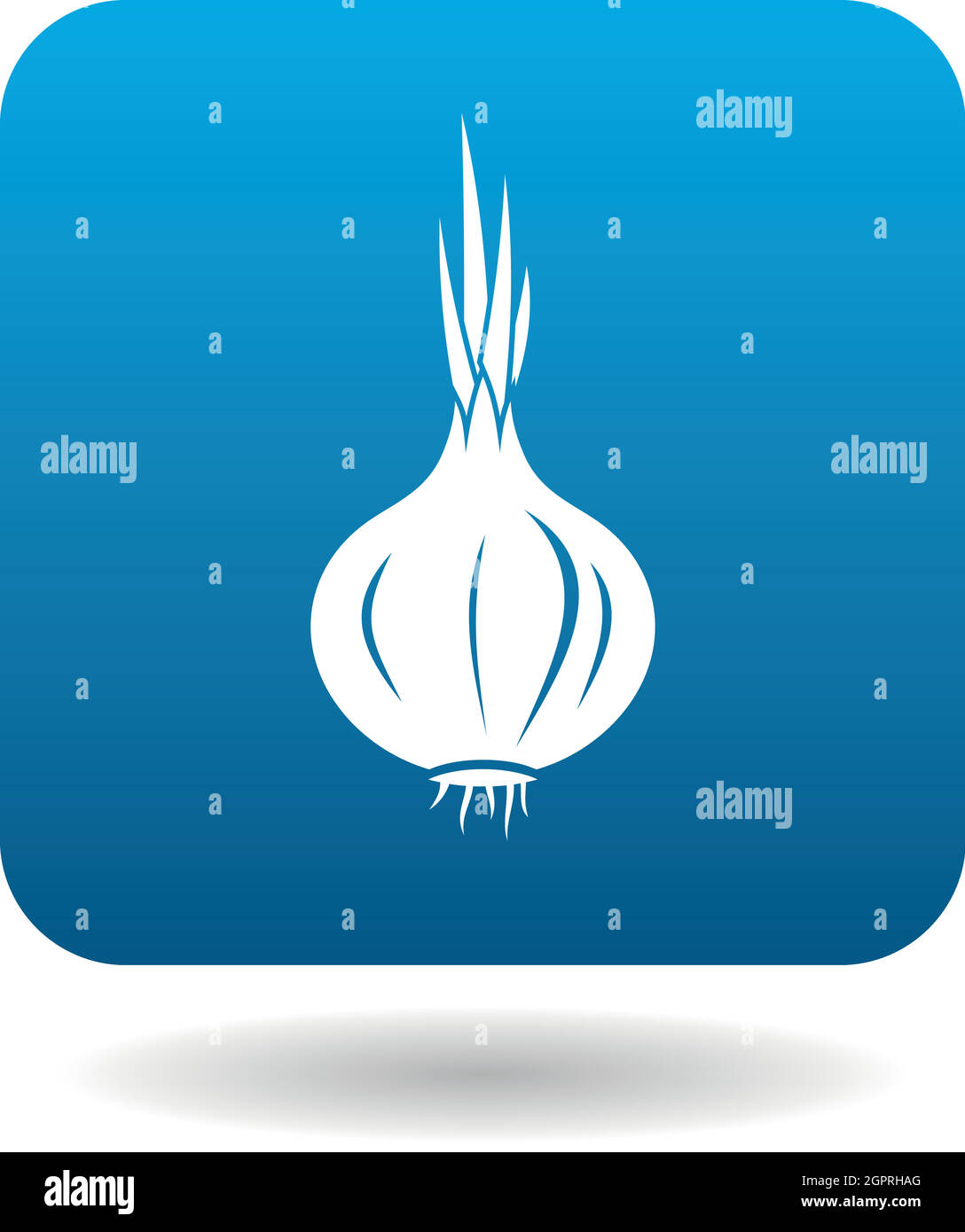 Onion square Stock Vector Images - Alamy