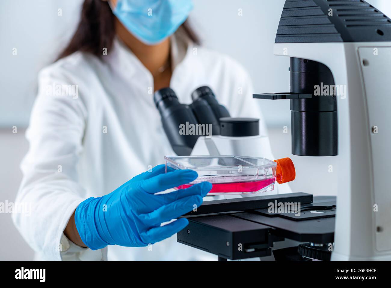 Placing on microscope hi-res stock photography and images - Alamy