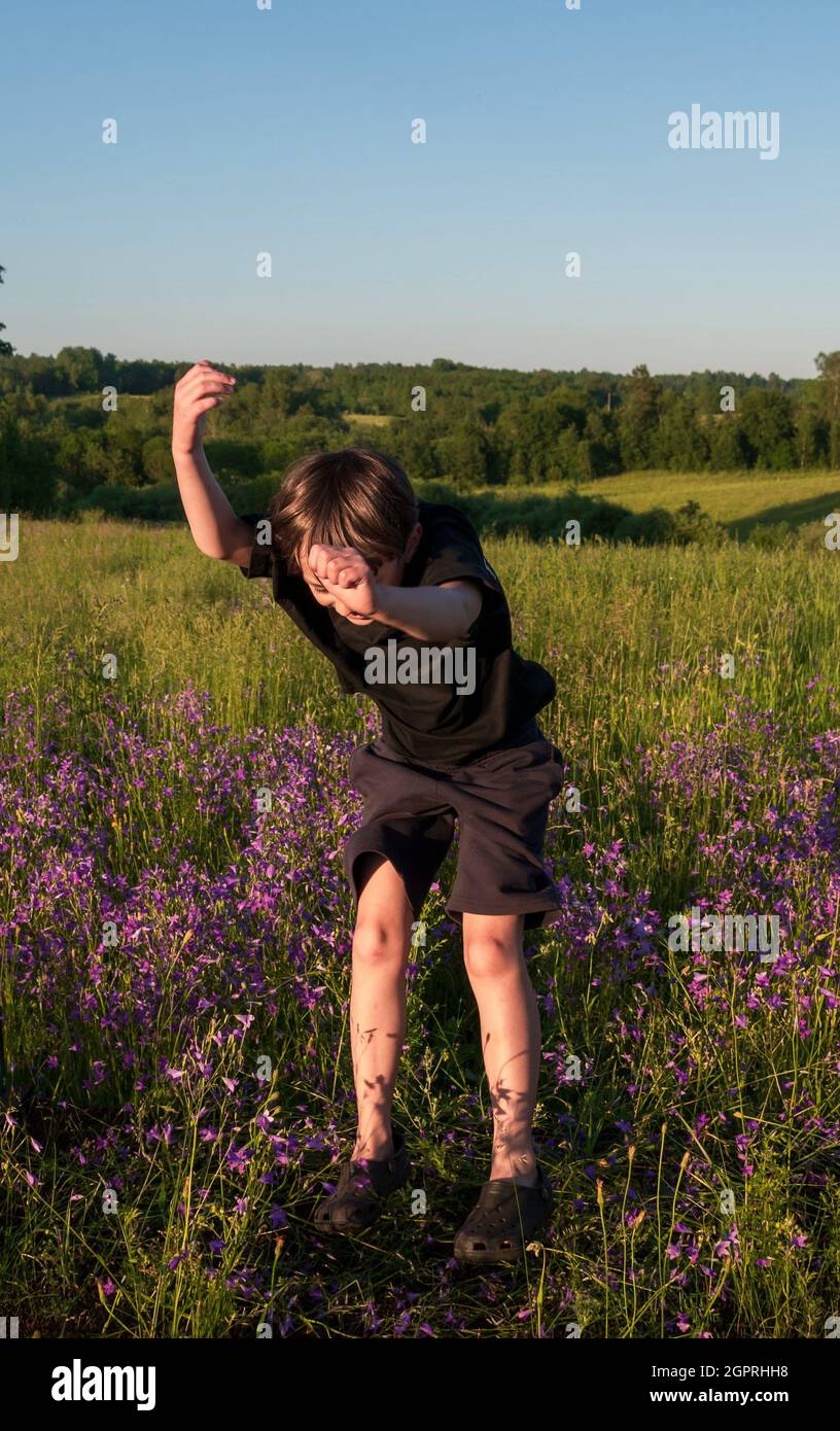 Blossom falling apple tree hi-res stock photography and images - Alamy