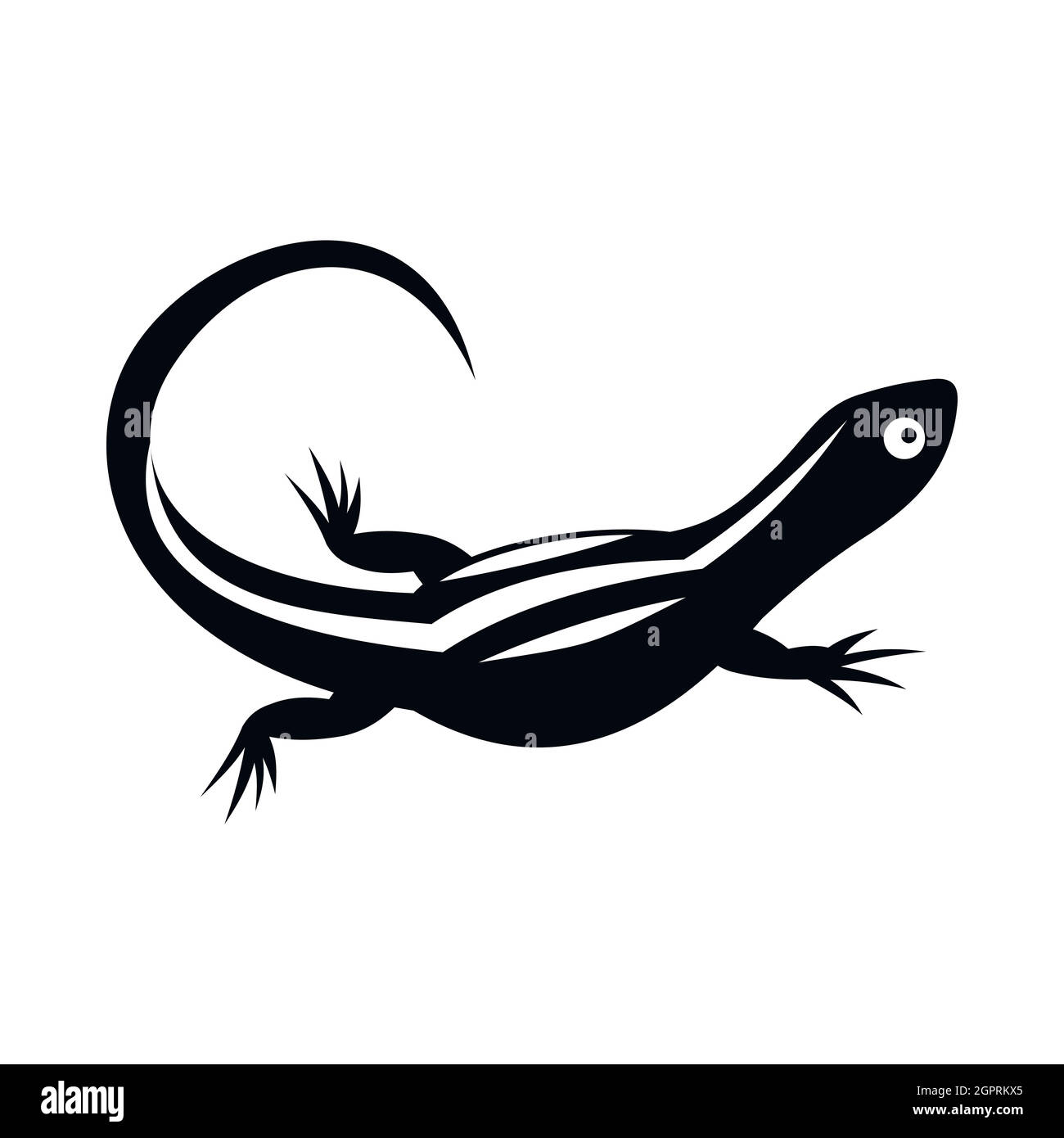Species of lizard Cut Out Stock Images & Pictures - Alamy