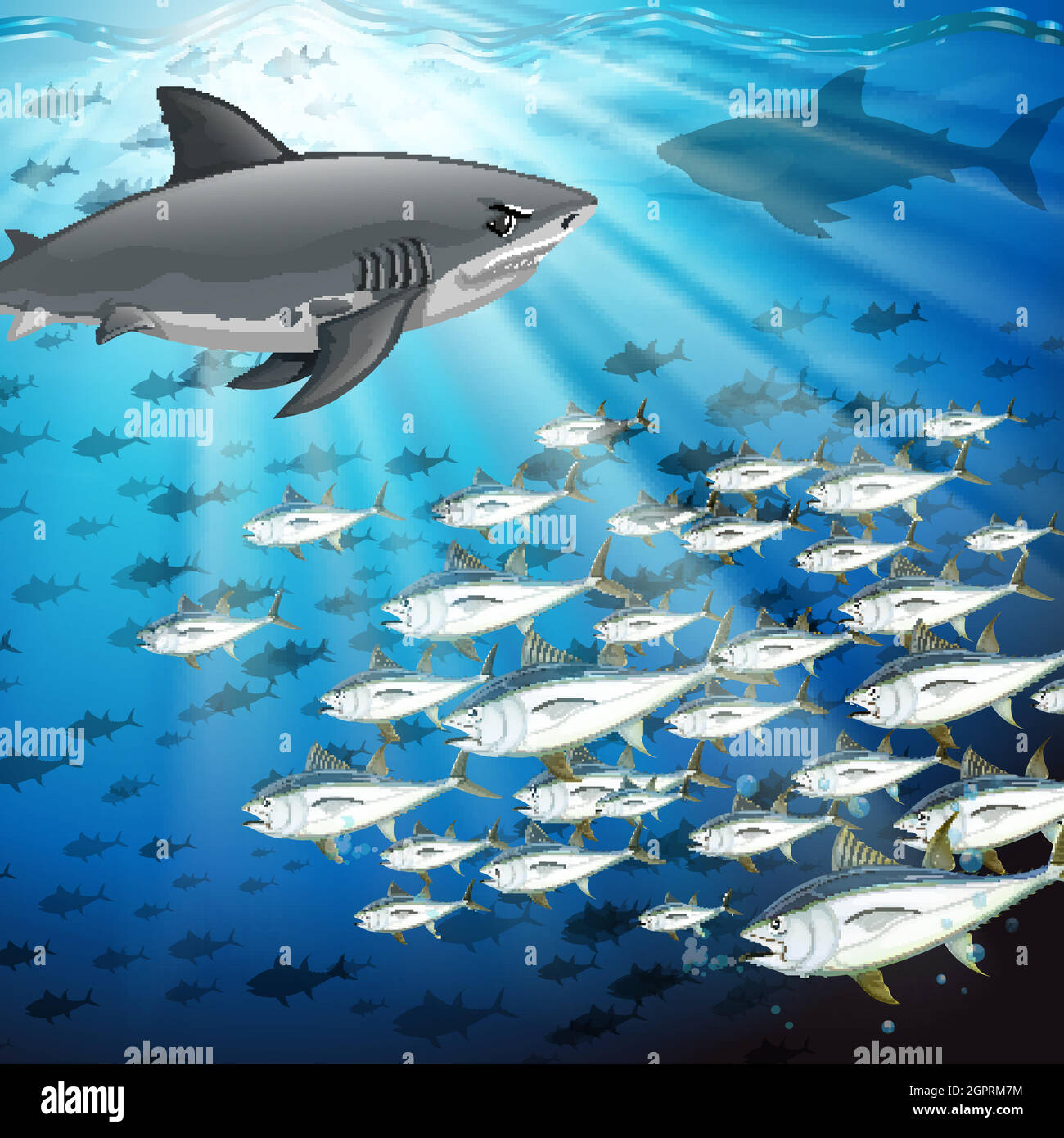Sharks Stock Vector Images - Alamy