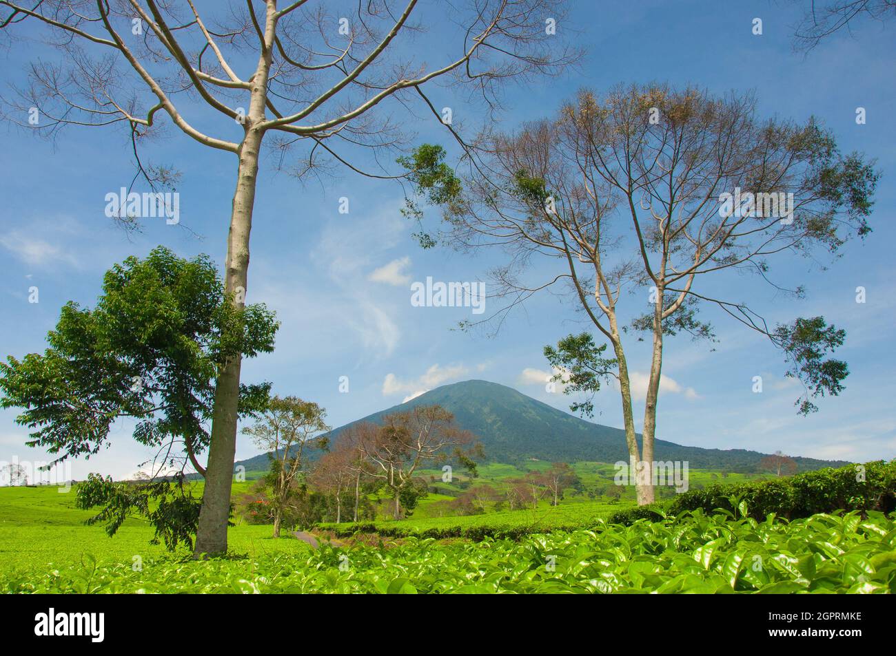 Mount dempo hi-res stock photography and images - Alamy