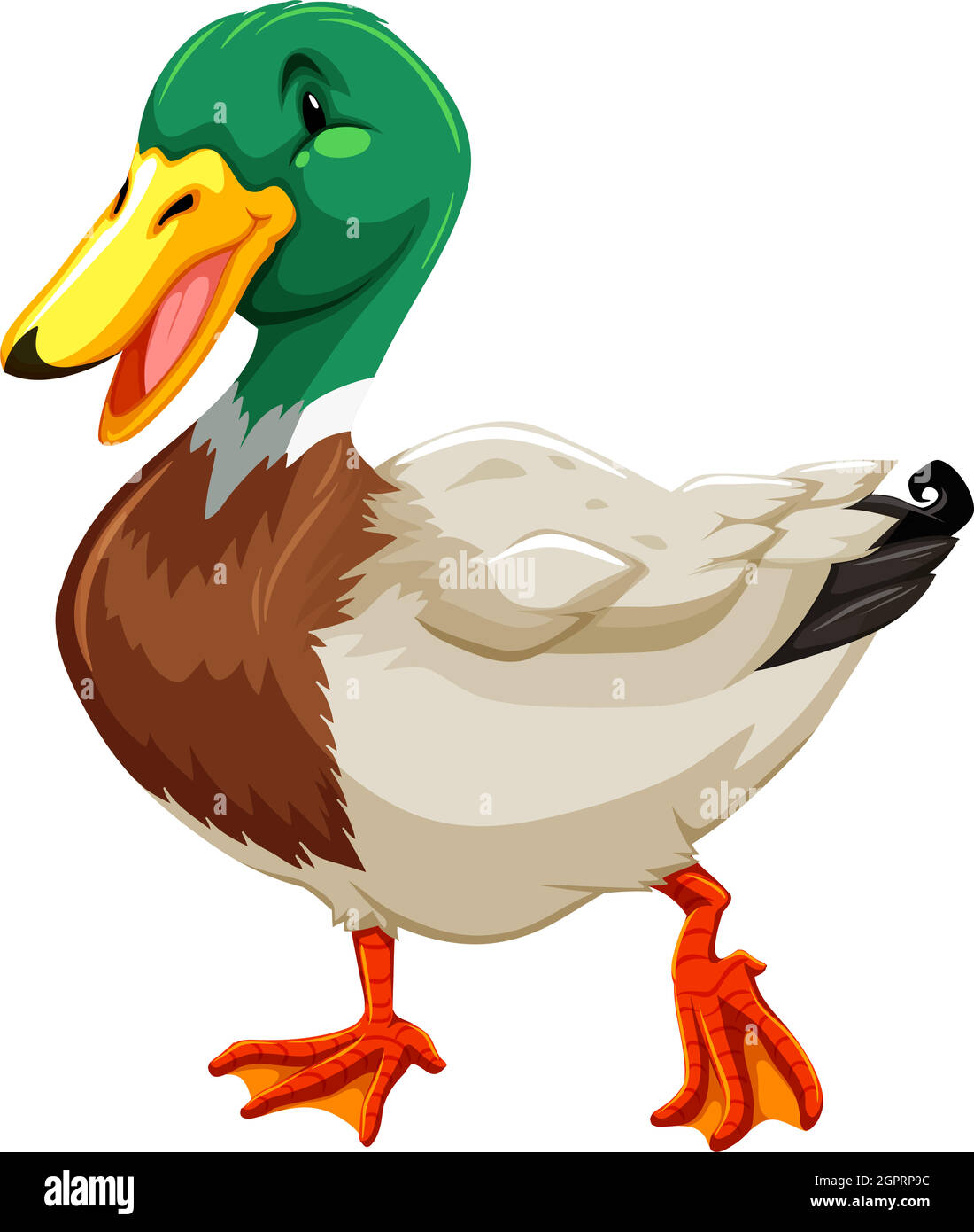 Duck on the black background Stock Vector Images - Alamy