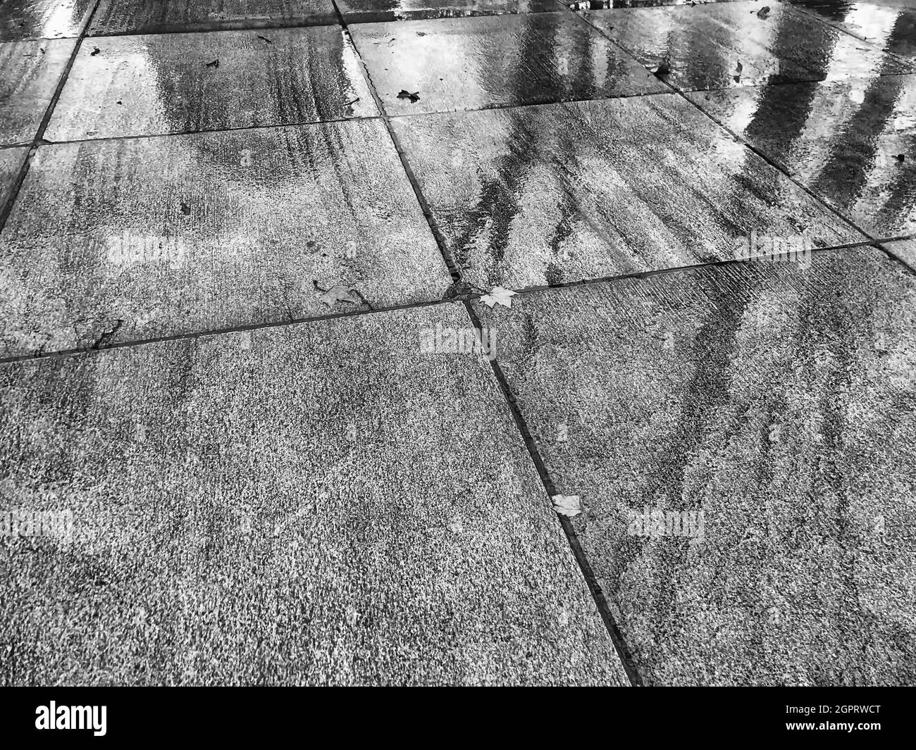 Grayscale shot of wet paving slabs Stock Photo - Alamy