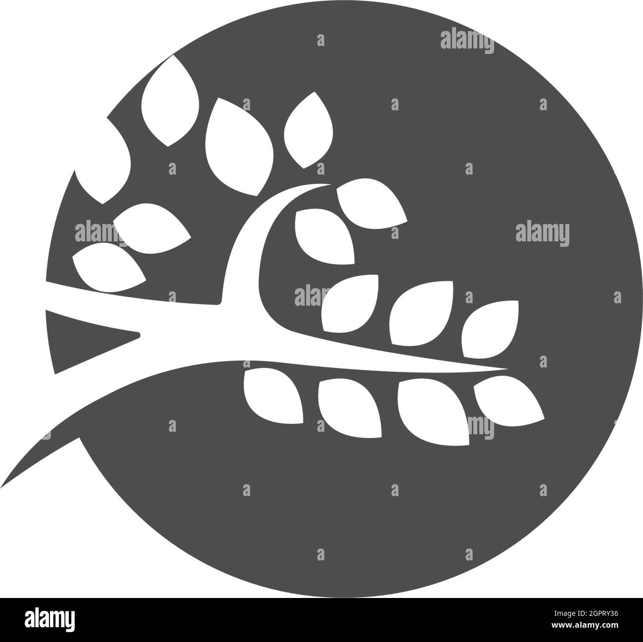 Tree icon Tree branch design vector illustration Stock Vector Image ...