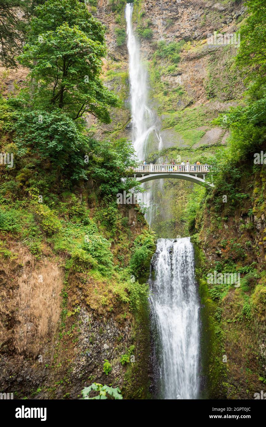 Multnomah Falls in the Columbia River Gorge Stock Photo - Alamy