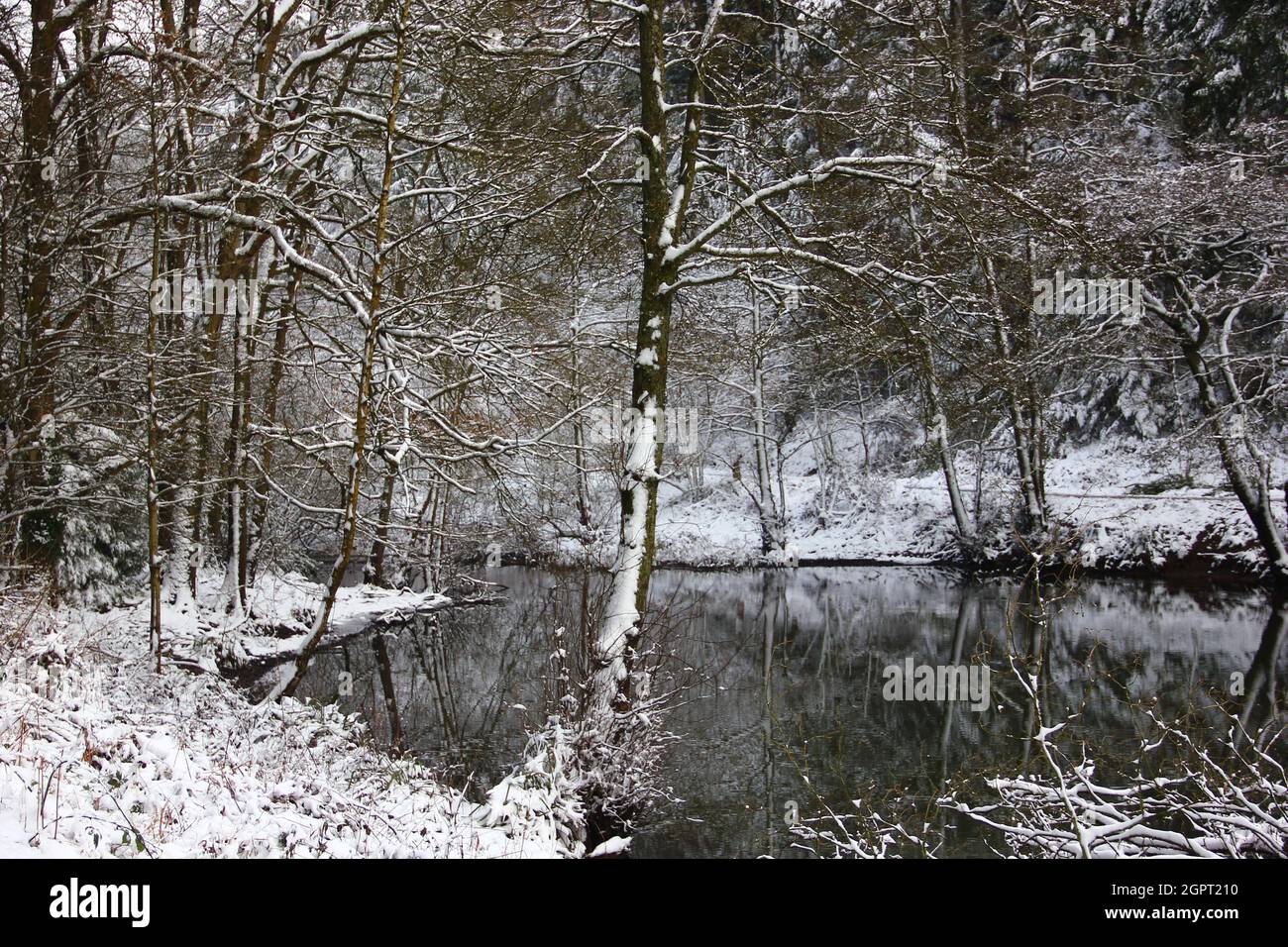 Soudley ponds hi-res stock photography and images - Alamy