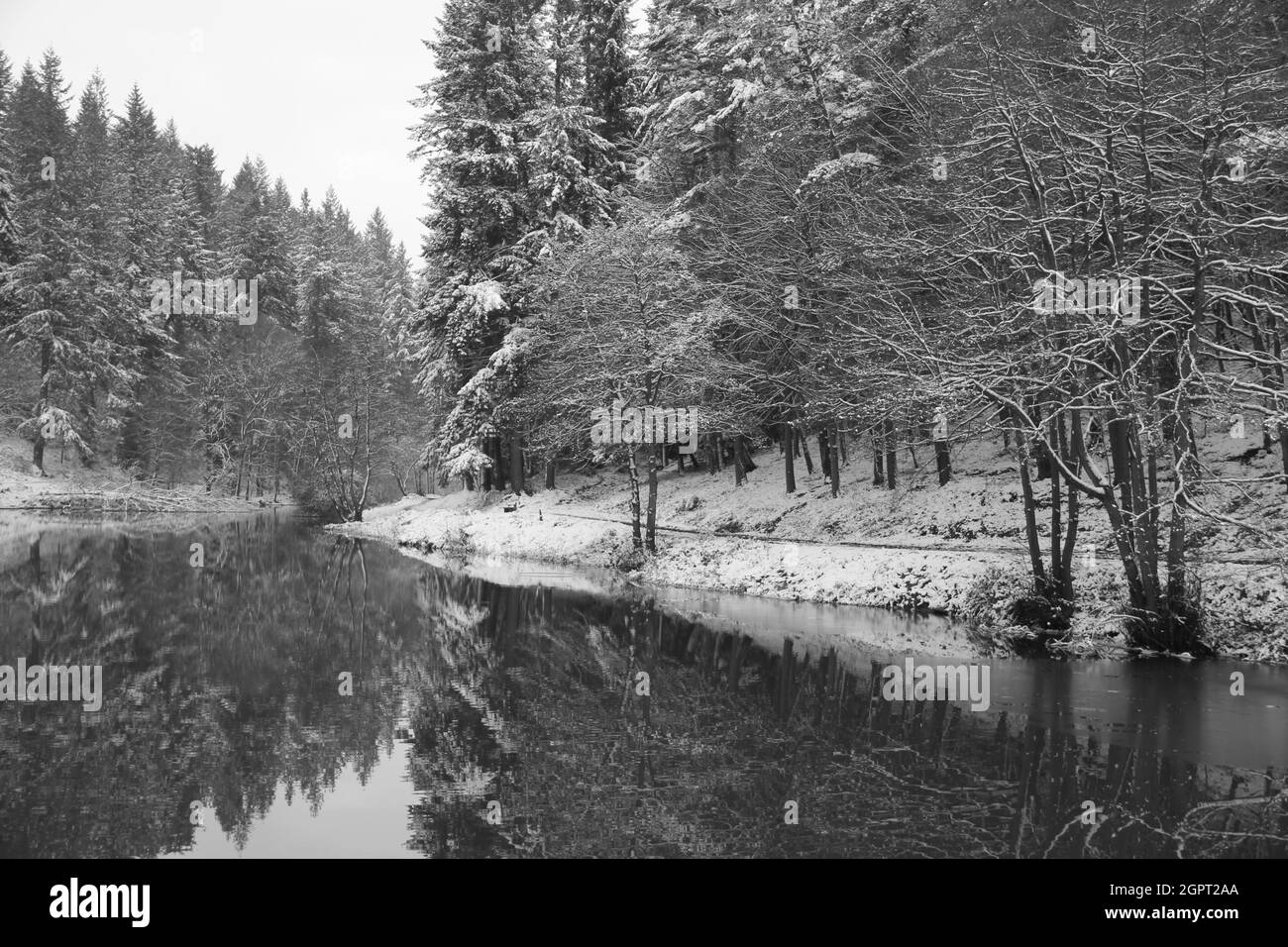 Soudley ponds hi-res stock photography and images - Alamy