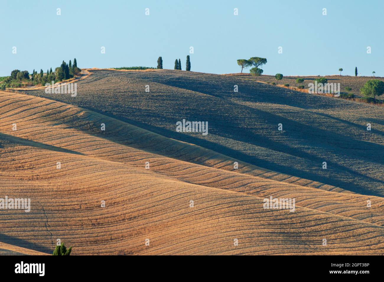 Wavy hills in Tuscan farmland Stock Photo - Alamy