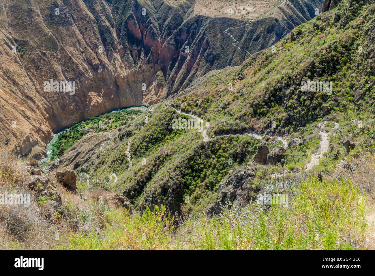 Path leading to the oasis Sangalle at the bottom of Colca canyon, Peru ...
