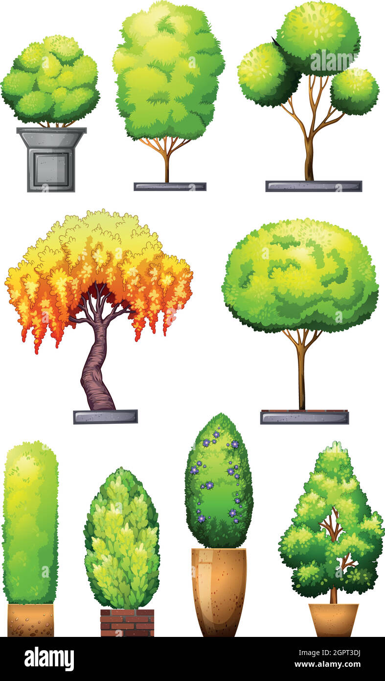 Plants trees background Stock Vector Images - Alamy