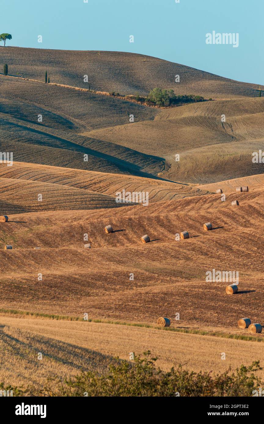 Wavy hills in Tuscan farmland Stock Photo - Alamy