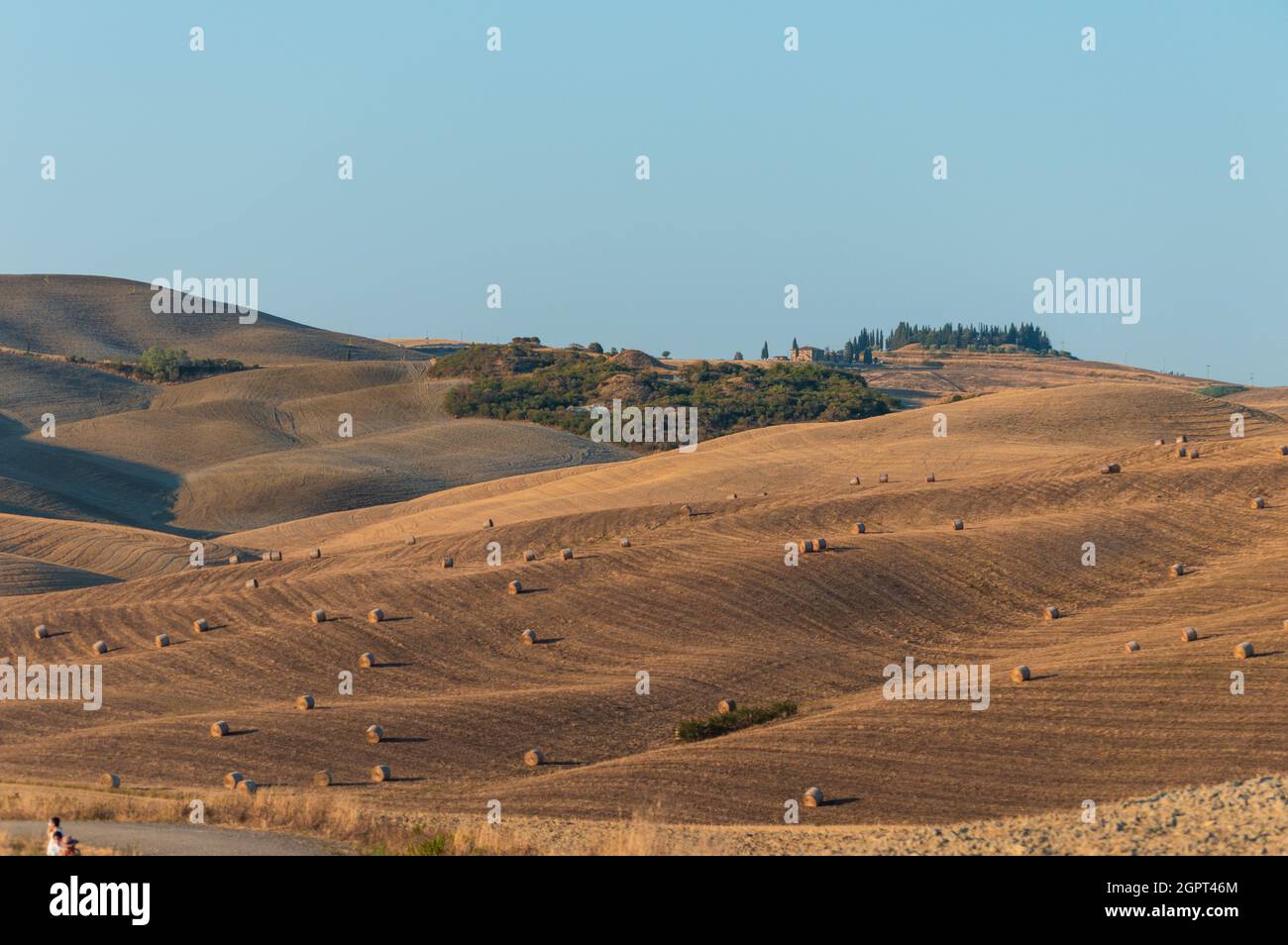 Wavy hills in Tuscan farmland Stock Photo - Alamy