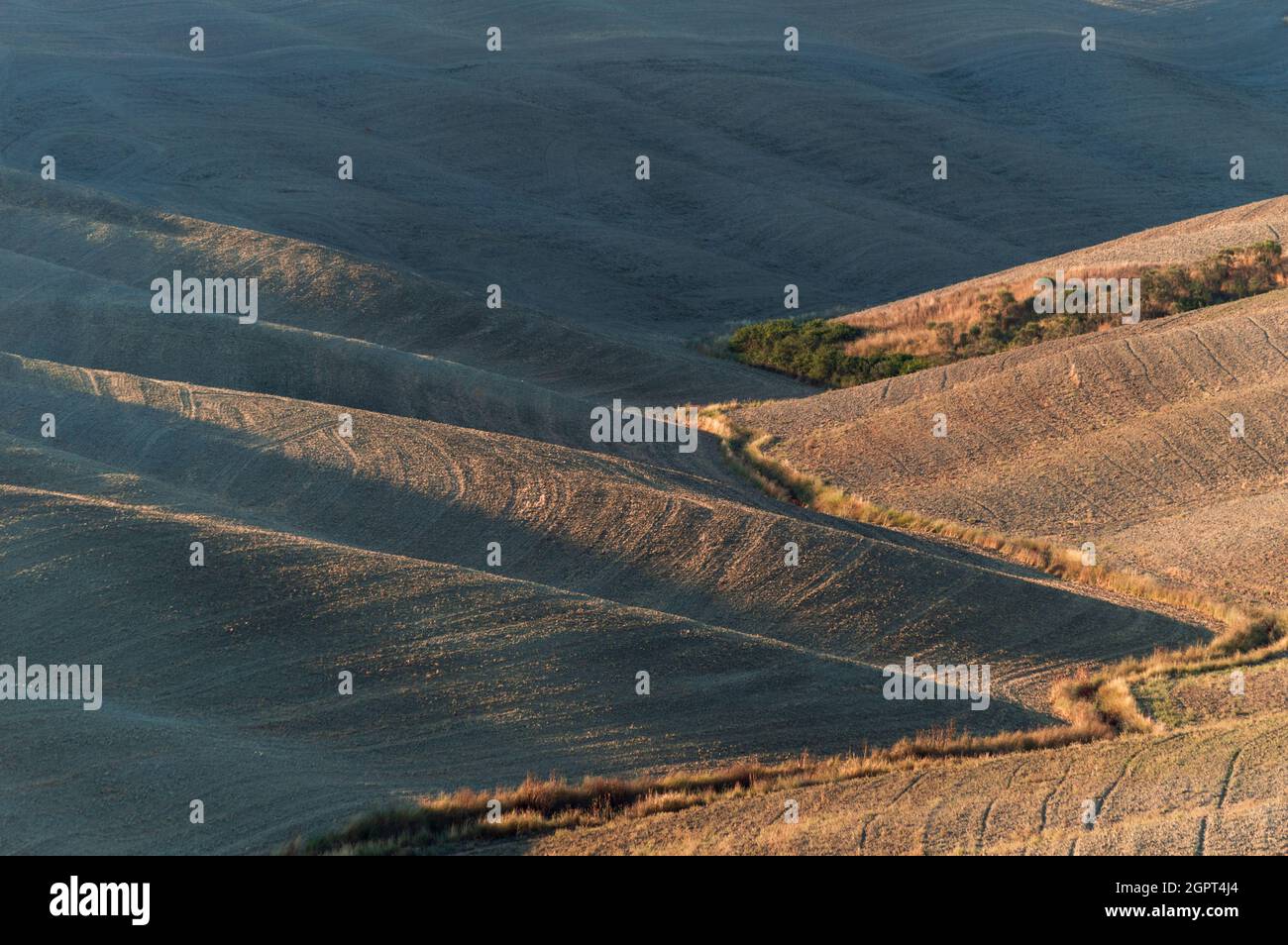 Wavy hills in Tuscan farmland Stock Photo - Alamy