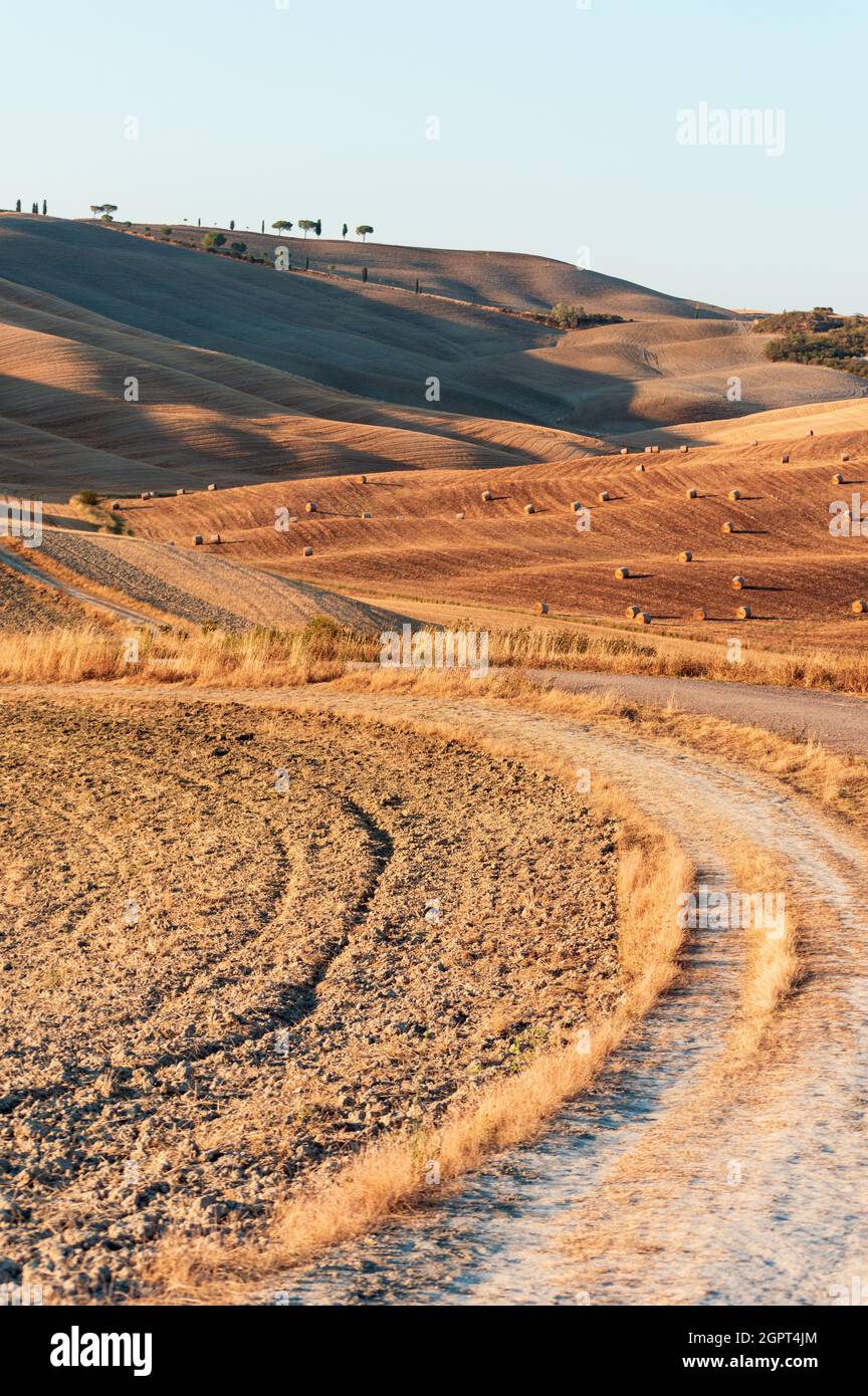 Wavy hills in Tuscan farmland Stock Photo - Alamy