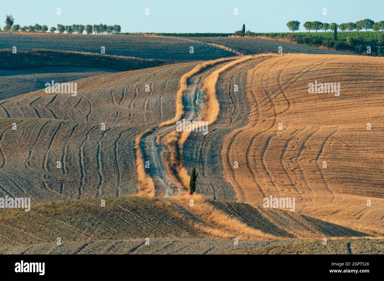 Wavy hills in Tuscan farmland Stock Photo - Alamy