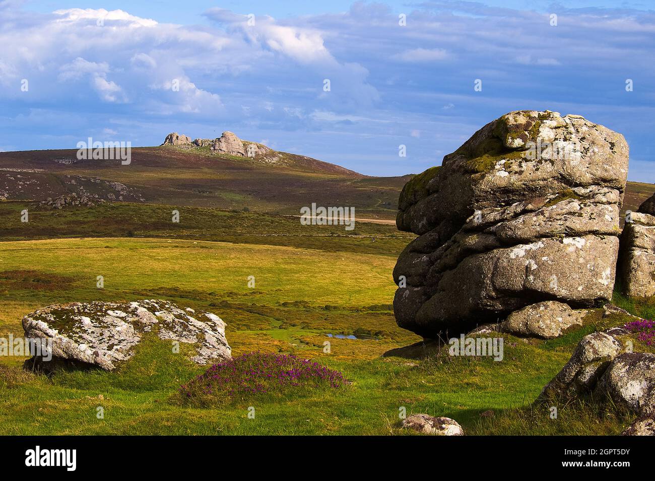 Distant view of Haytor rock formation across open moorland under clouds ...