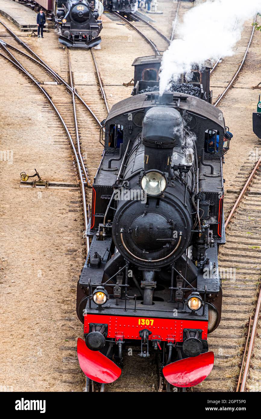 Steam locomotive meeting at the Odense Railway Museum (Jernbanemuseum ...