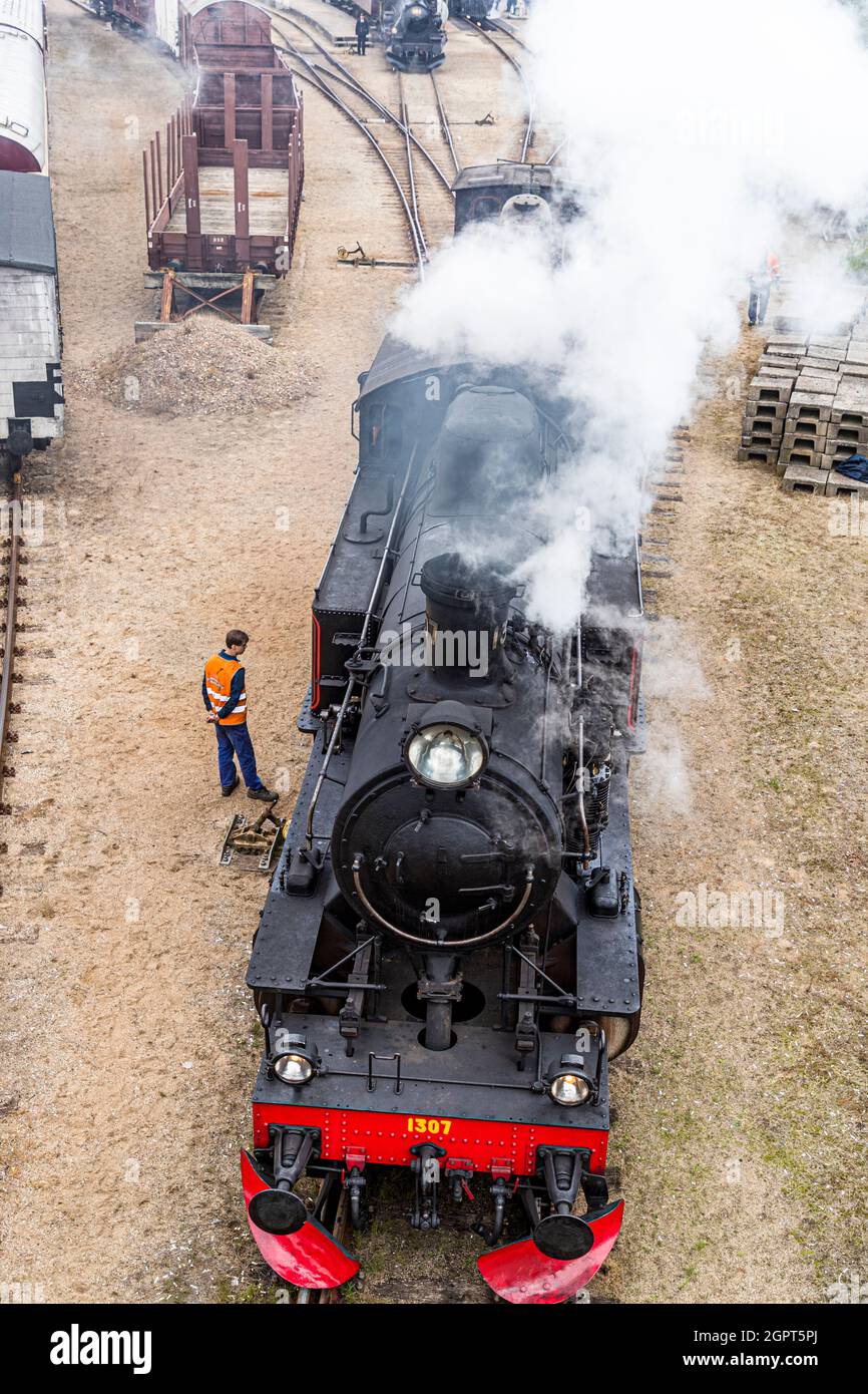 Steam locomotive meeting at the Odense Railway Museum (Jernbanemuseum ...