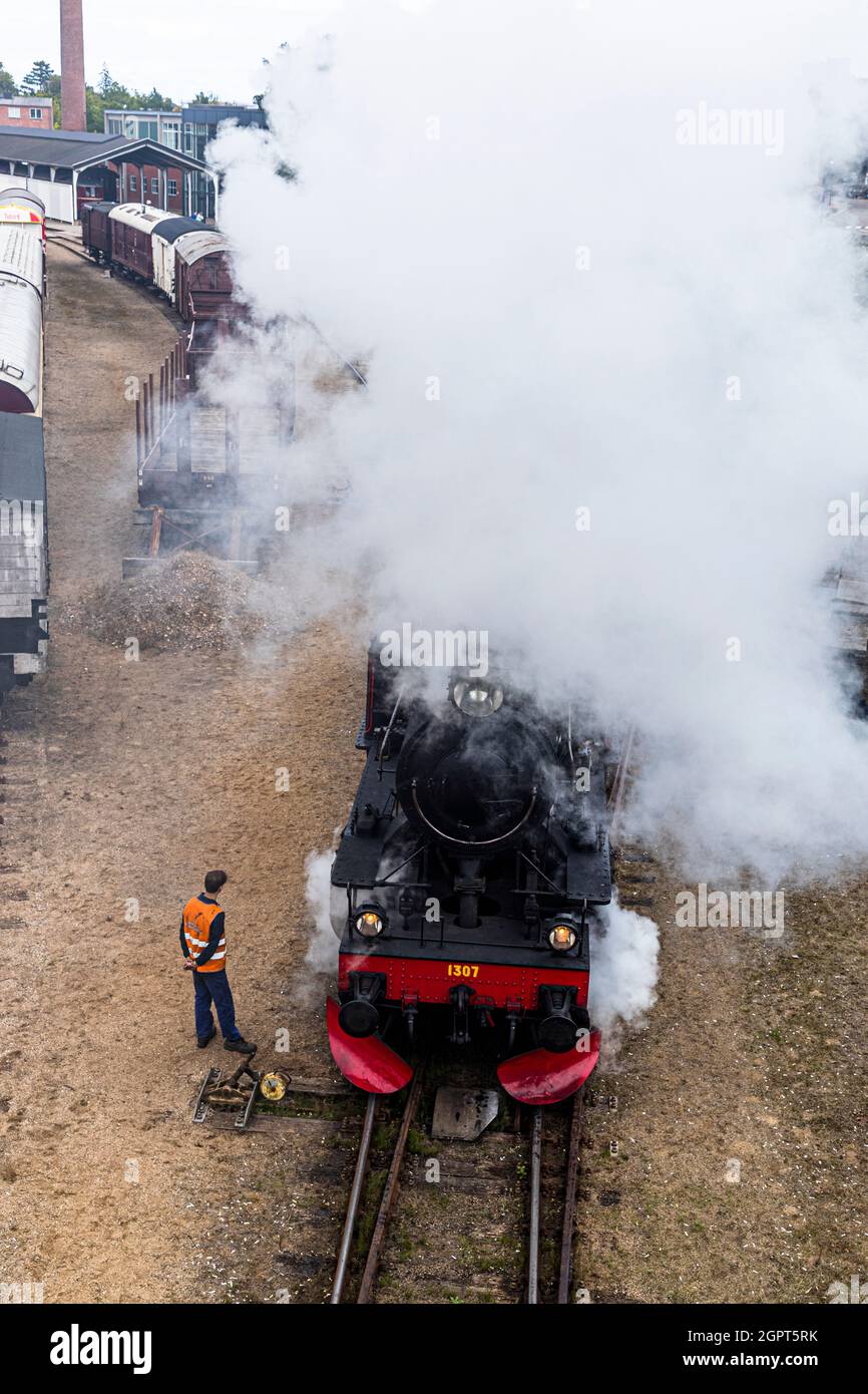 Steam locomotive meeting at the Odense Railway Museum (Jernbanemuseum ...