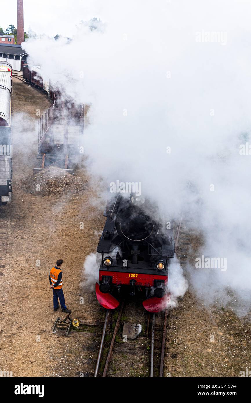Steam locomotive meeting at the Odense Railway Museum (Jernbanemuseum ...