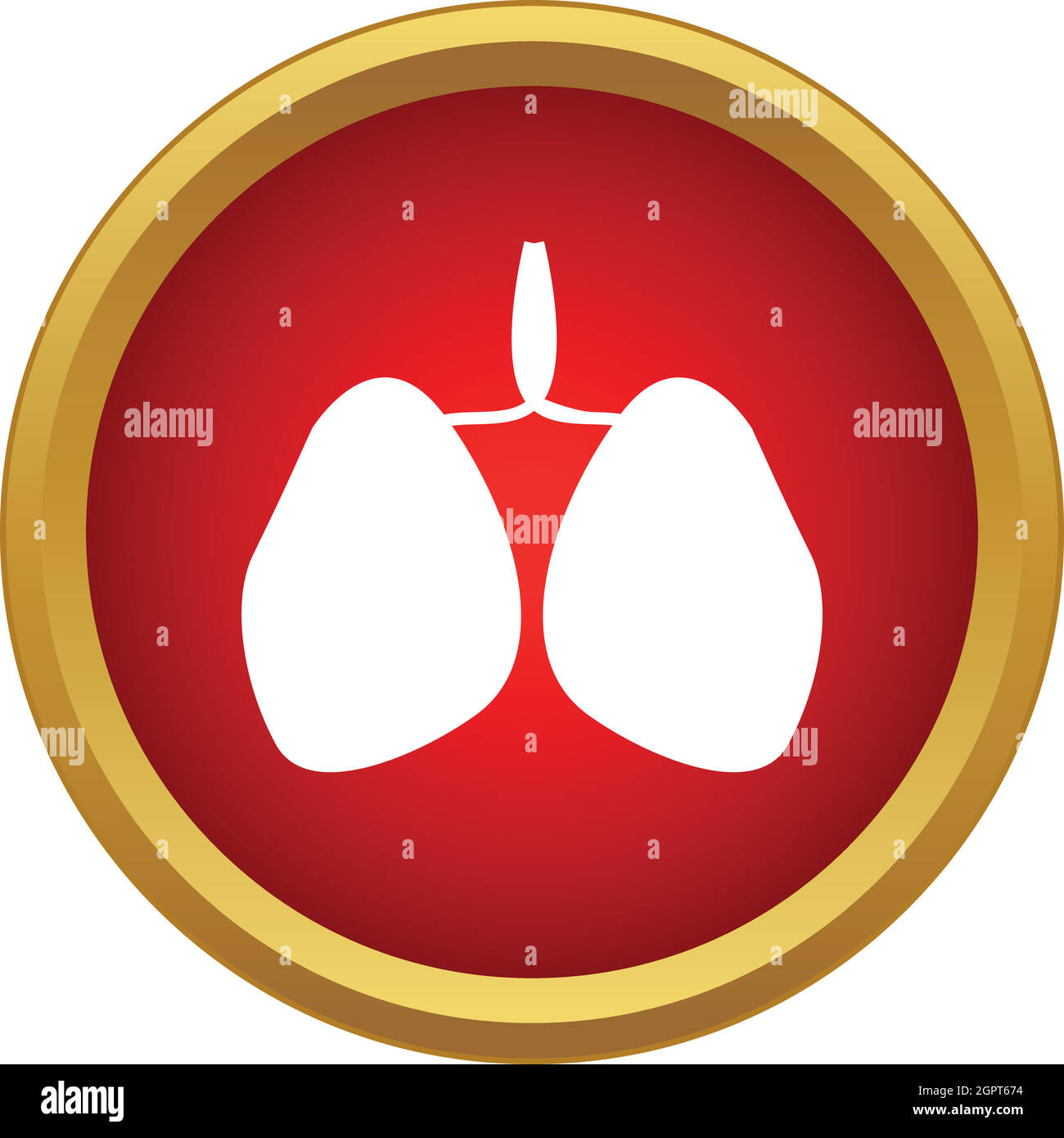 Human lungs bronchi organ Stock Vector Images - Alamy