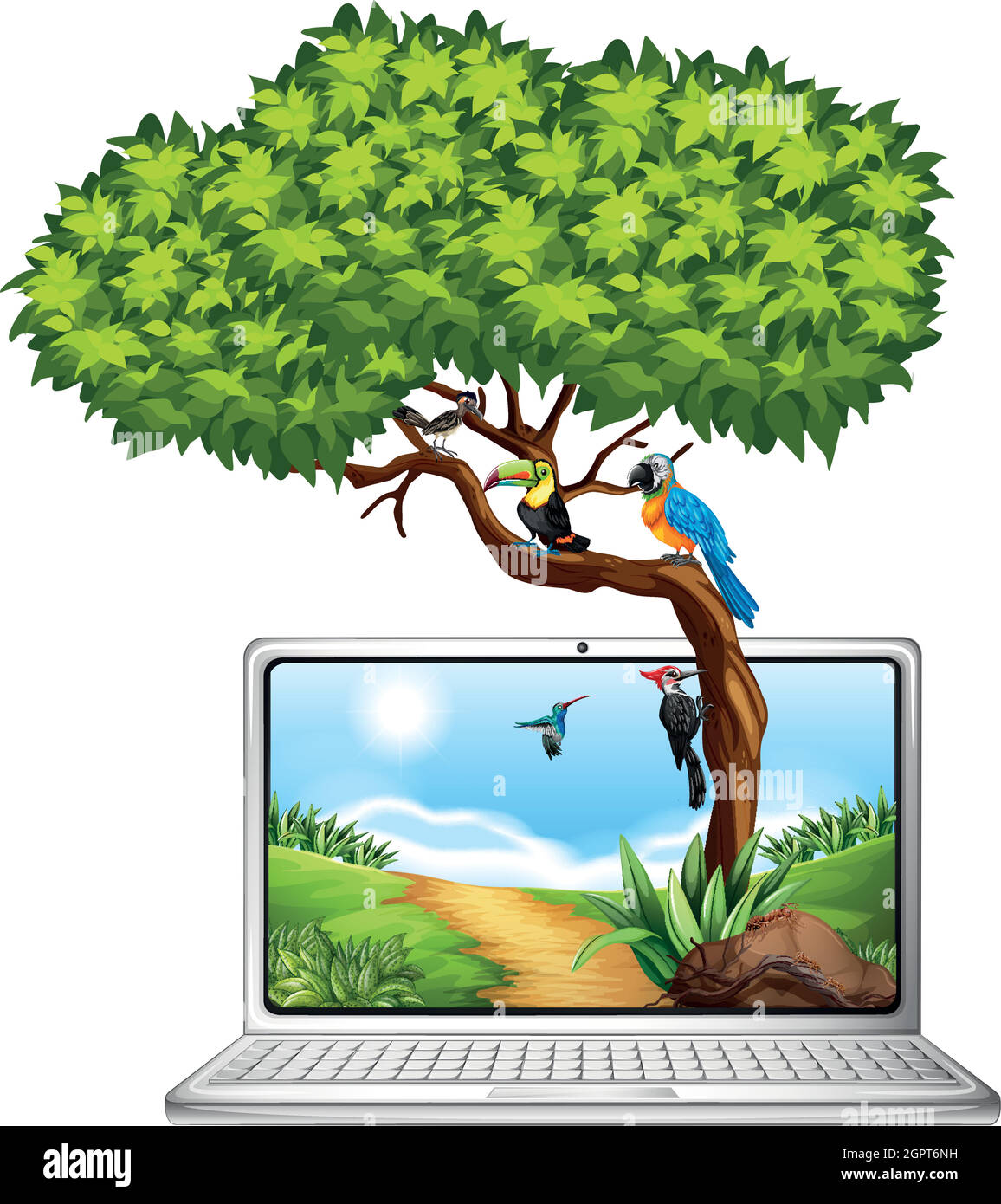 Computer screen with birds on tree Stock Vector Image & Art - Alamy