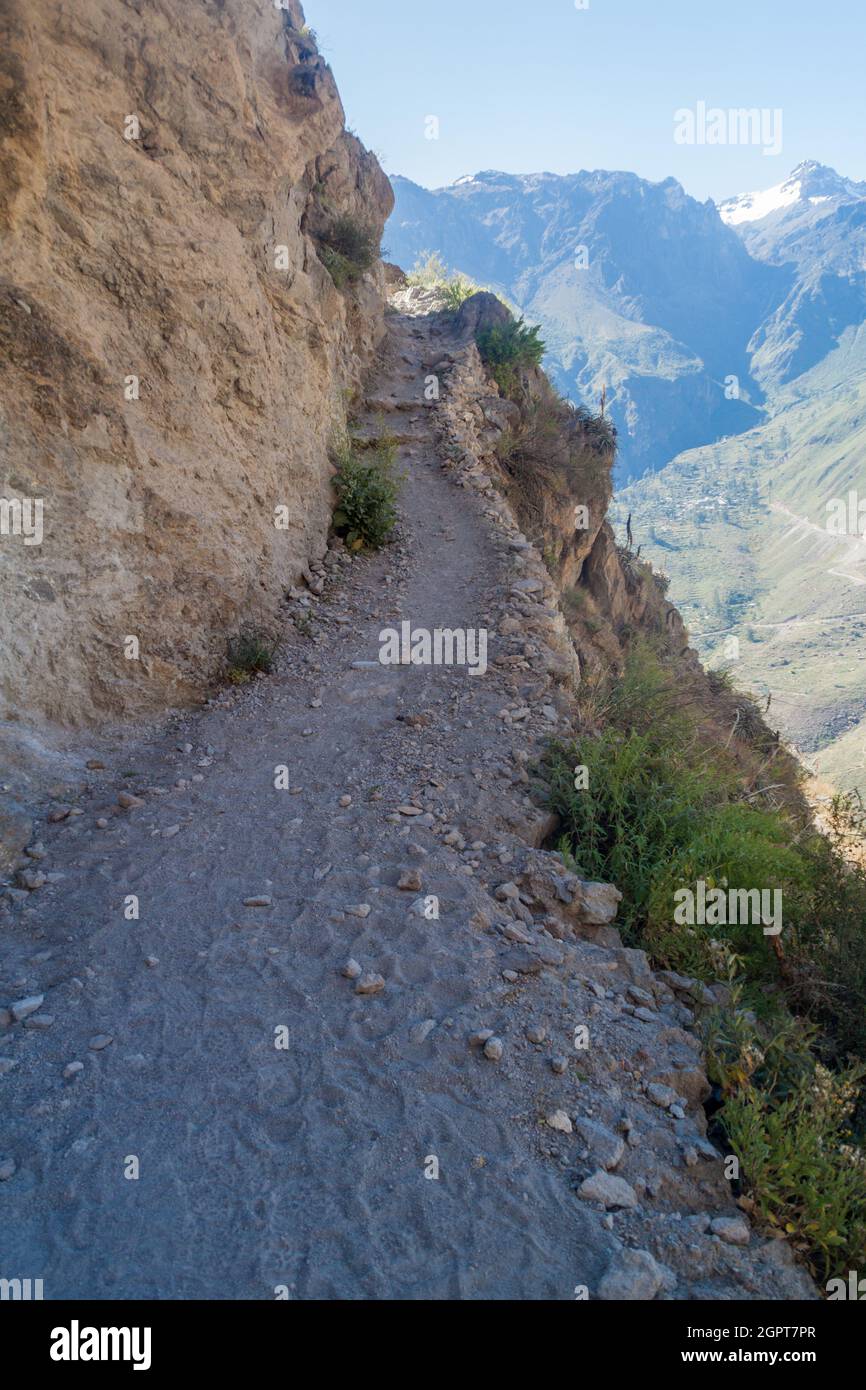 Trekking trail in Colca canyon, Peru Stock Photo - Alamy