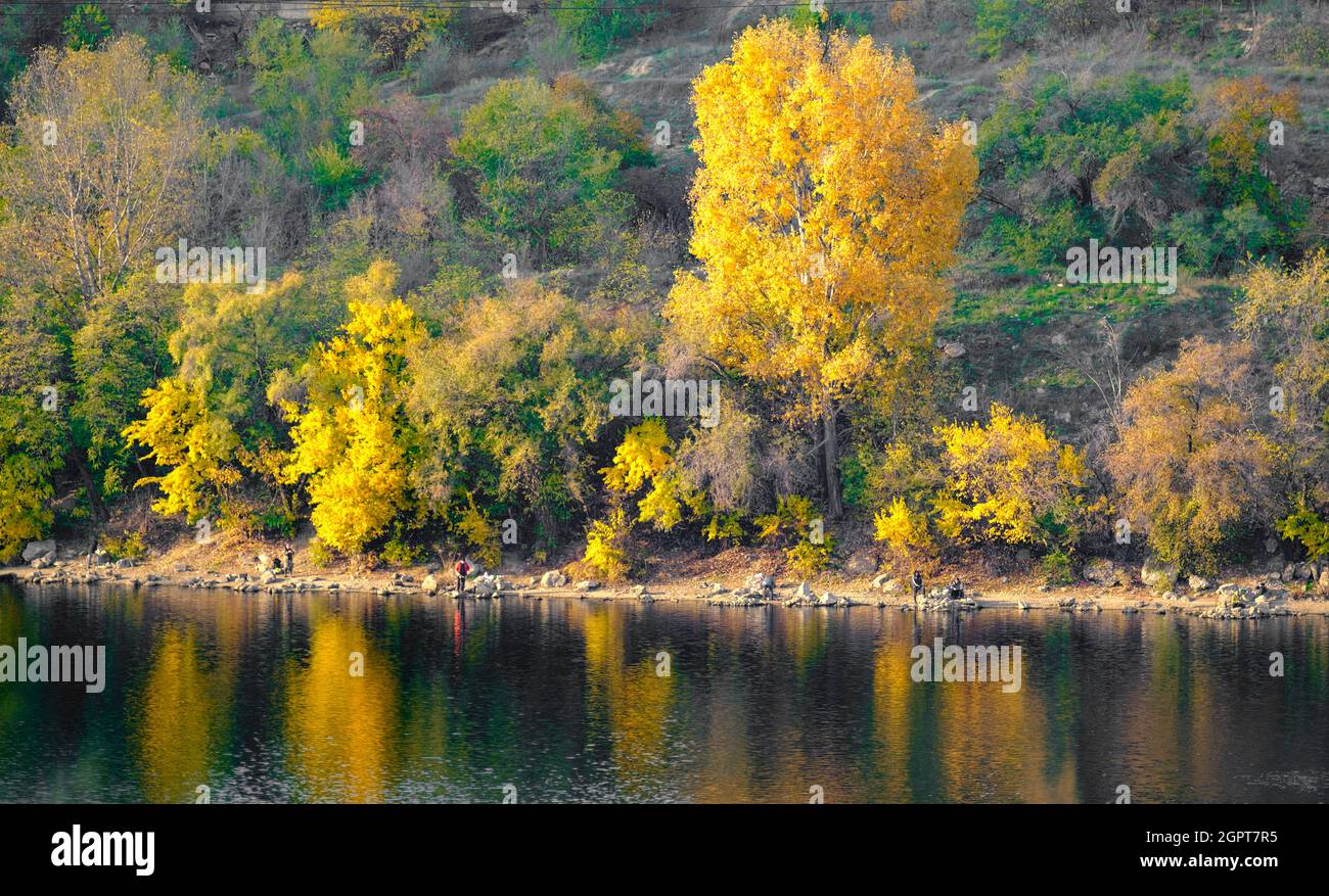 Beautiful Colorful Scenic Landscape Of yellow Tree at the water. Autumn ...