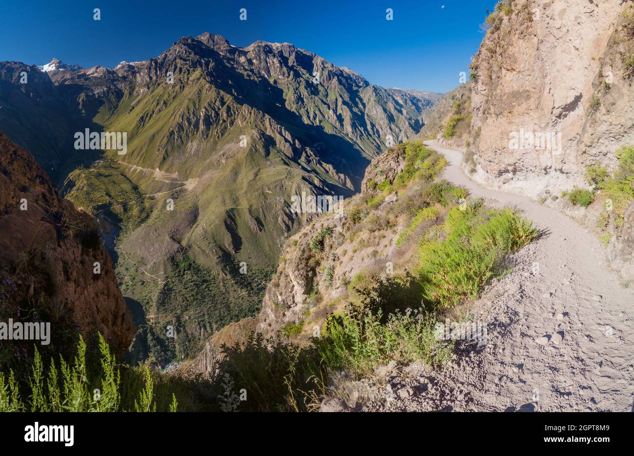 Trekking trail in Colca canyon, Peru Stock Photo - Alamy