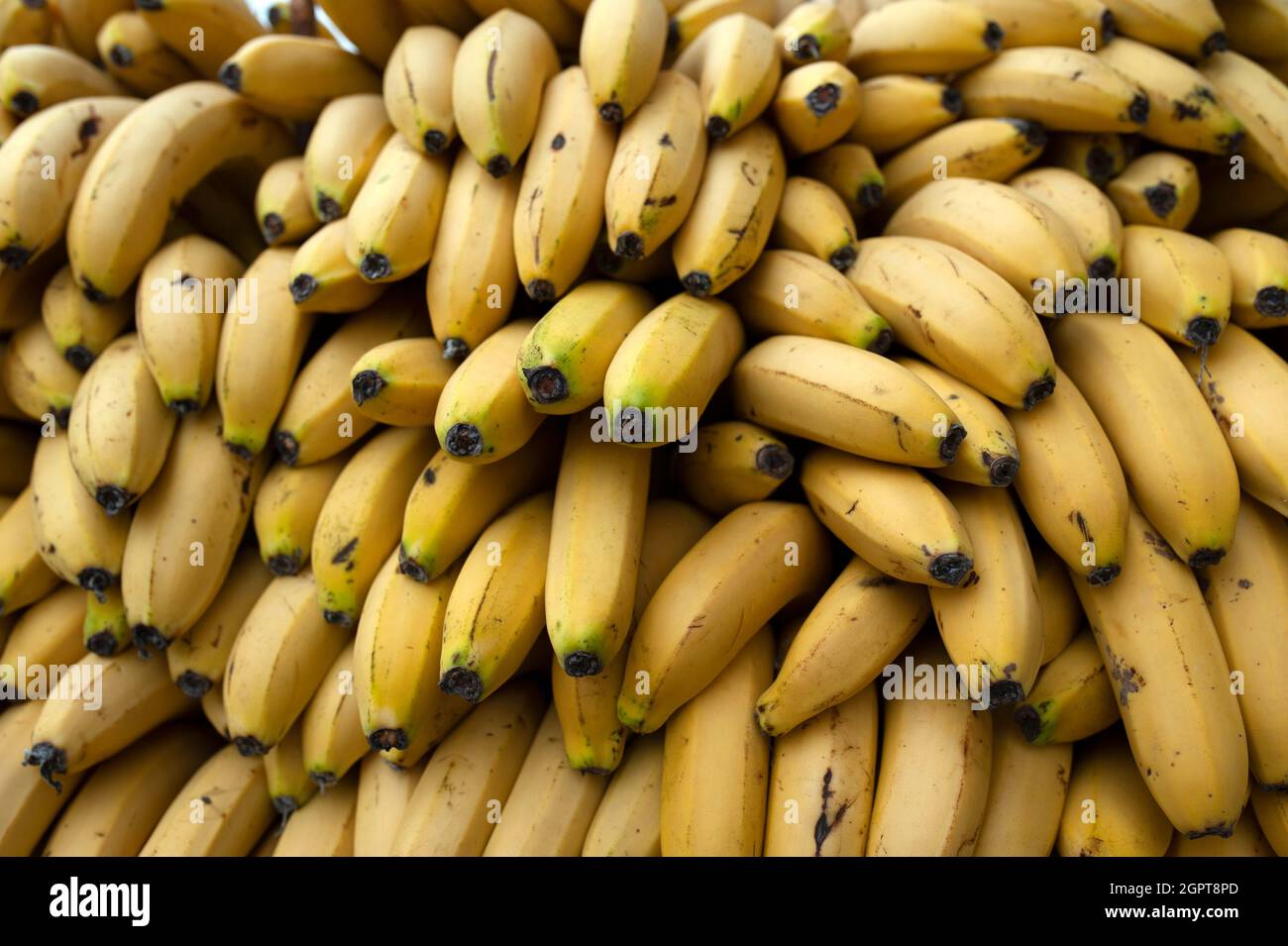 Stacking bananas hi-res stock photography and images - Alamy