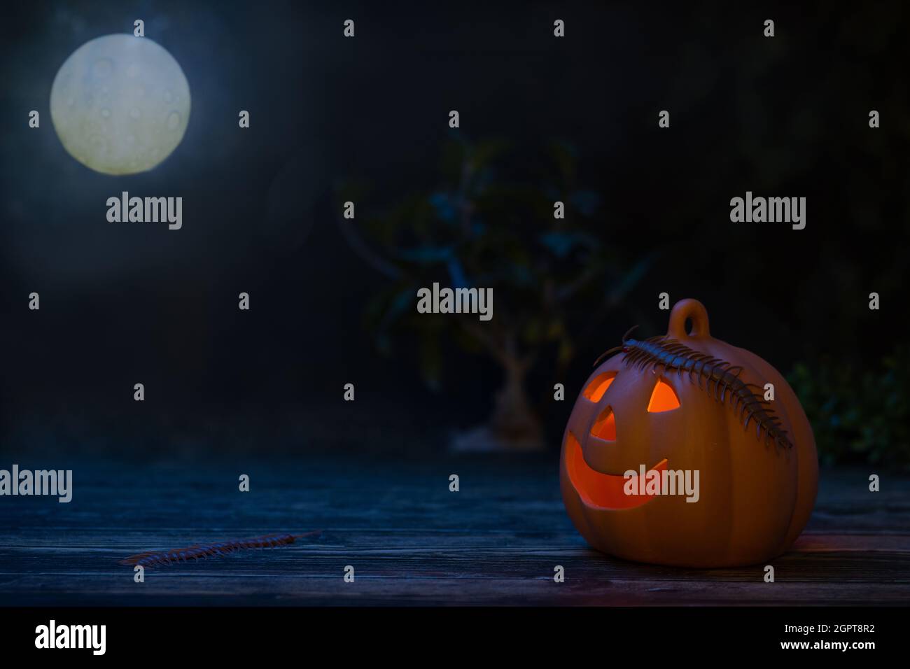Halloween background with illuminated pumpkin at night Stock Photo - Alamy